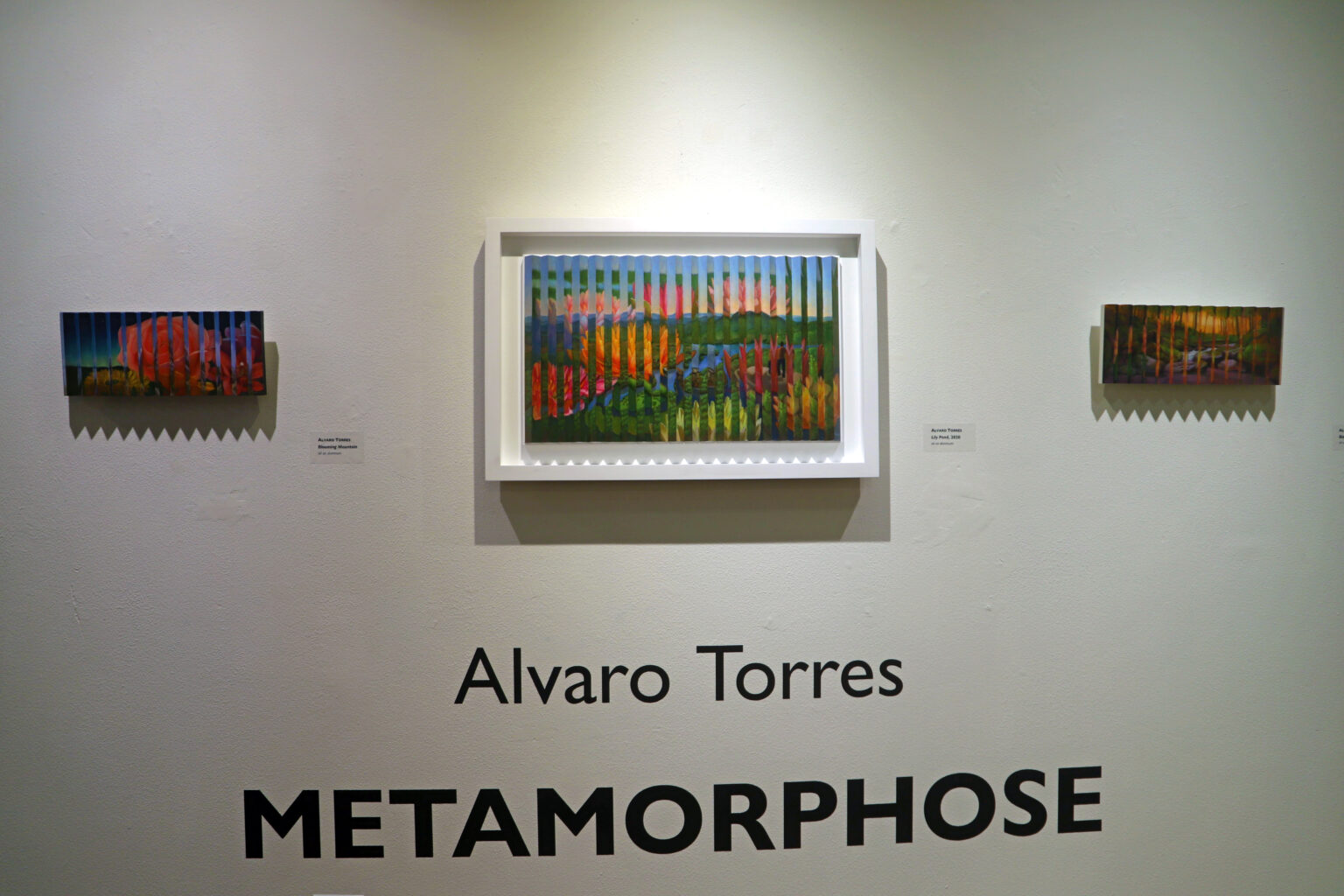 Art Exhibition Photos | Al Torres, Artist